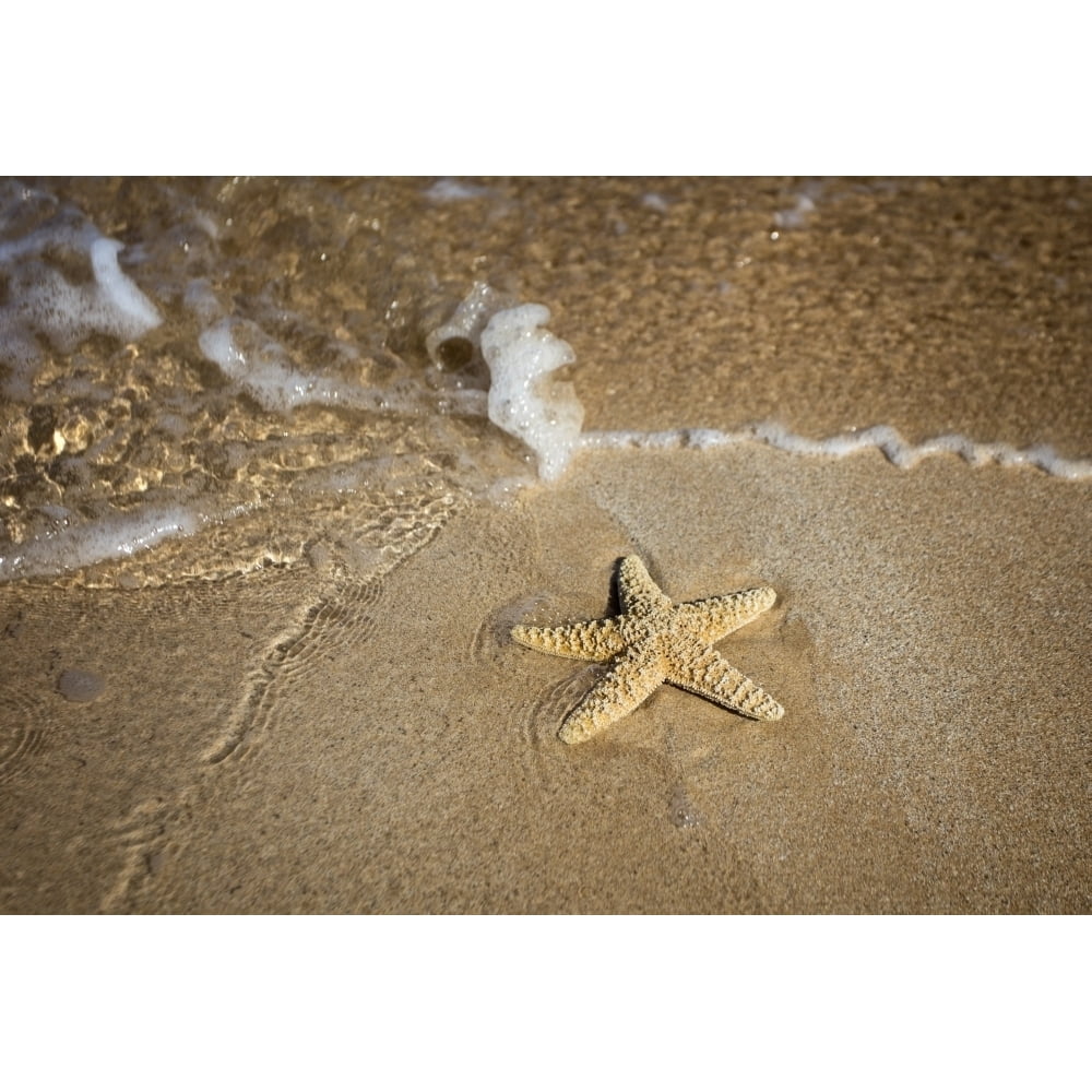 Close-up of a starfish and wave on a beach; Maui Hawaii United States ...