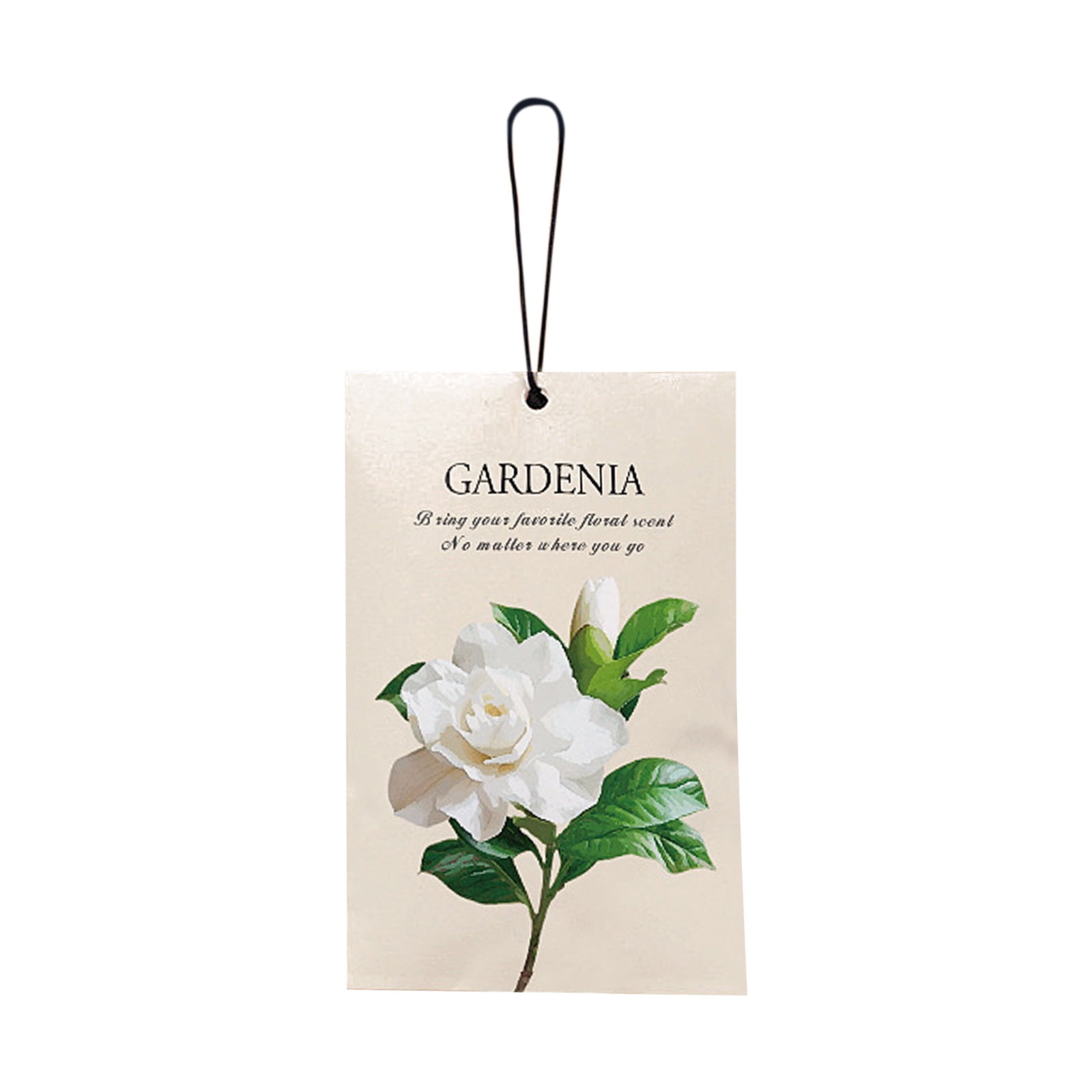 Closet Freshener Odor Eliminator, Closet Scent Freshener, 3X5 In, Paper ...