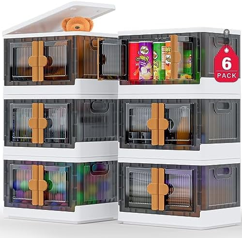 Closet Organizers and Storage - Trunk Car Organizer with Lids and Doors ...