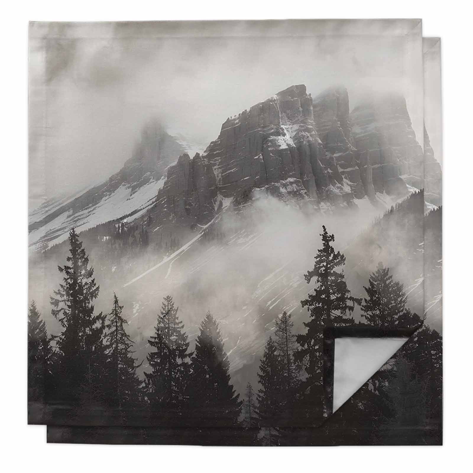Cloth Napkins Set of 2 - 20x20 Inches, National Parks Washable Reusable ...