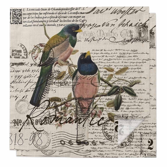 Cloth Napkins Set of 2 - 20x20 Inches, Vintage Birds Washable Reusable ...
