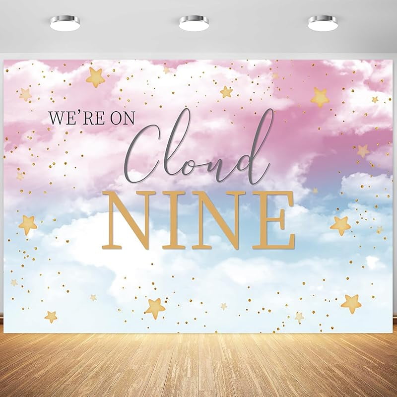 On Cloud 9 Backdrop Pink and Blue Cloud Gold Stars Photography ...