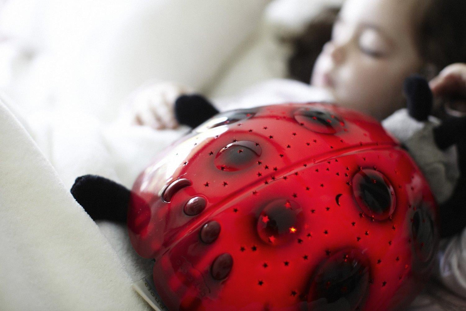 Cloud B : Twilight LadyBug - Walmart.com