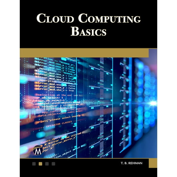 Cloud Computing Basics, (Paperback) - Walmart.com