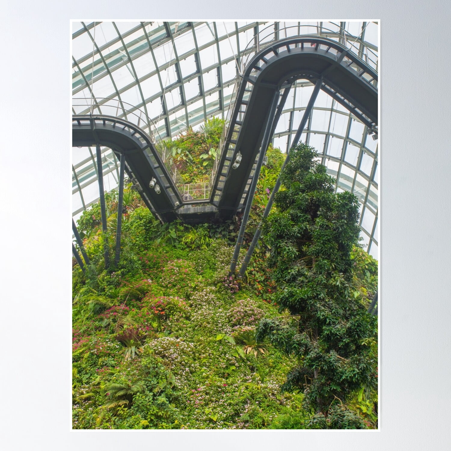 Cloud Forest Walkway Poster Wall Art, Modern Wall Decor, 8x12 UNFRAMED ...