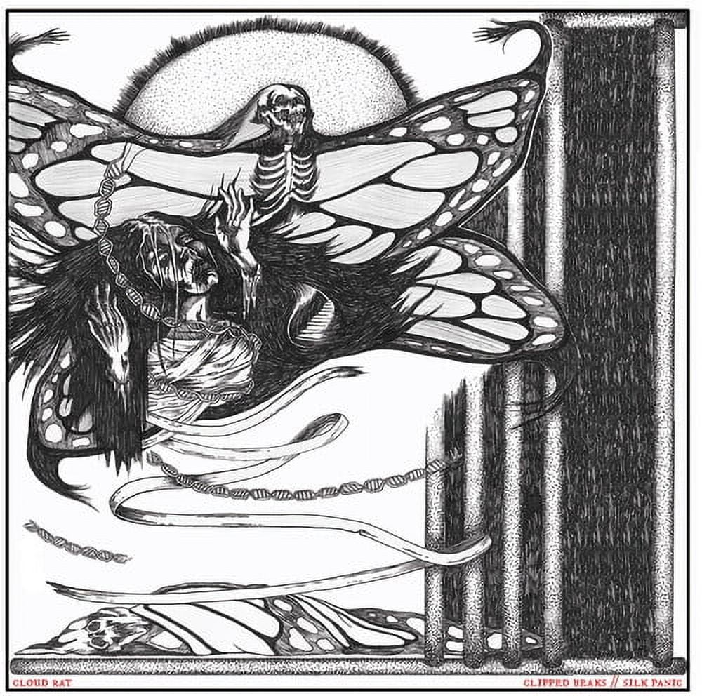 Cloud Rat - Clipped Beaks / Silk Panic - Music & Performance - CD ...
