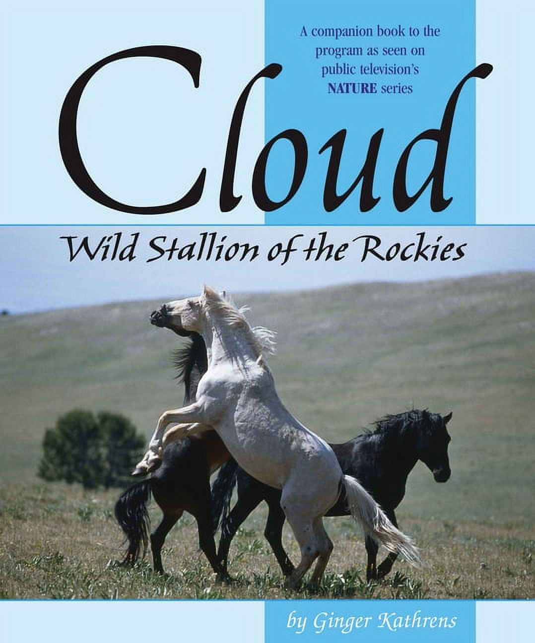 Cloud : Wild Stallion of the Rockies, Revised and Updated (Hardcover ...