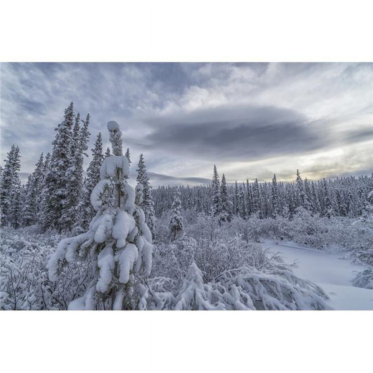 Clouds & Mist Envelop The Mountains While Snow Covers The Trees ...