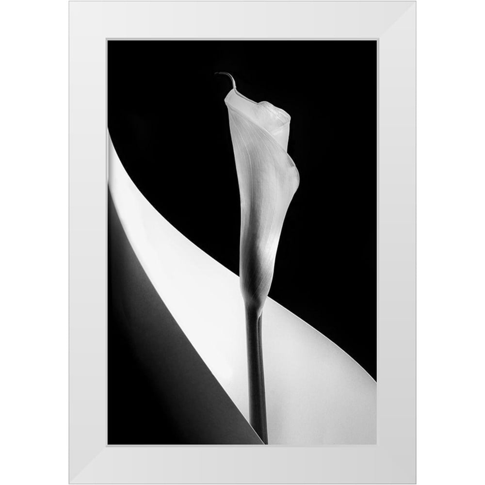 Clough, Stephen 17x24 White Modern Wood Framed Museum Art Print Titled ...