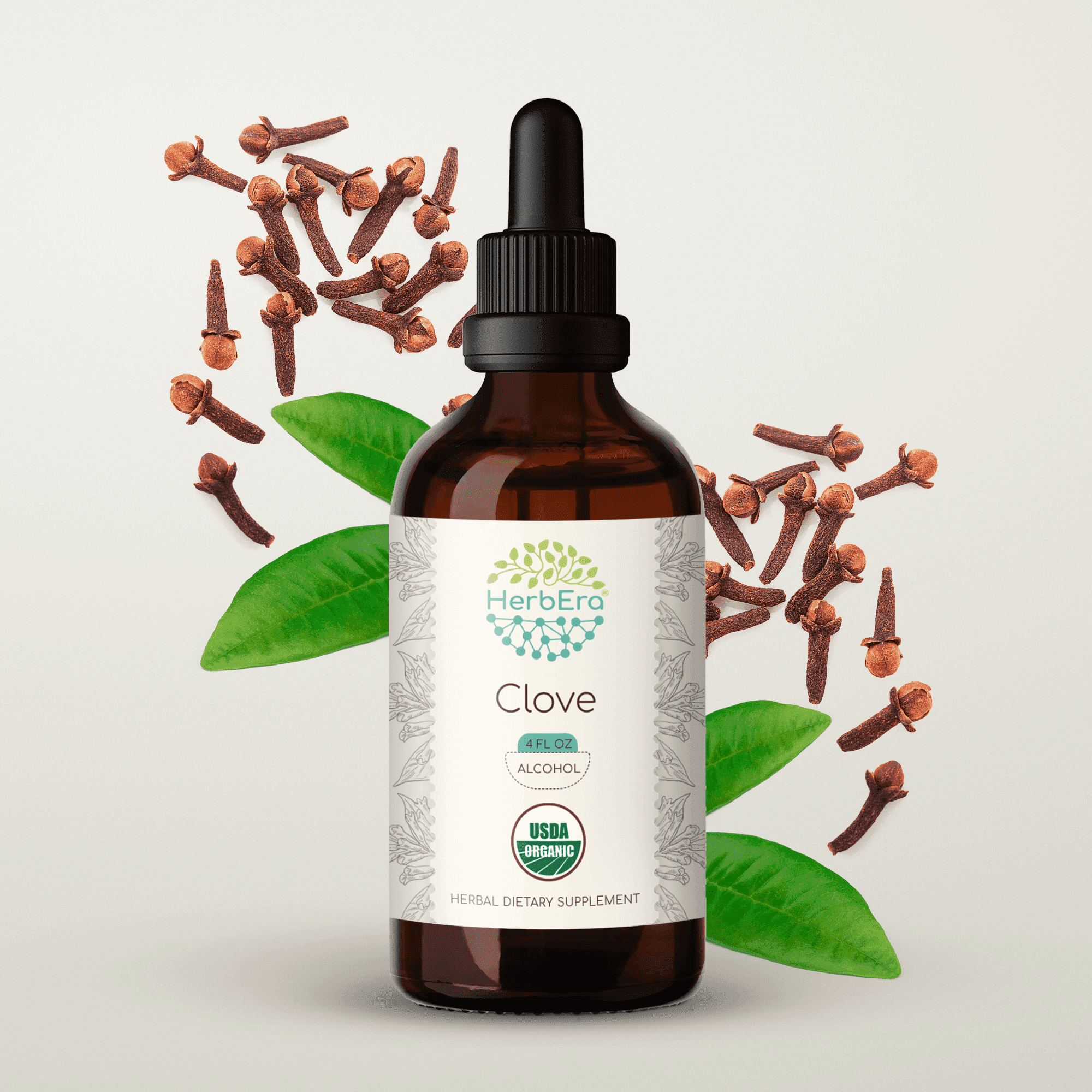 HerbEra Clove Tincture, Organic Herbal Dietary Supplement for Digestive ...