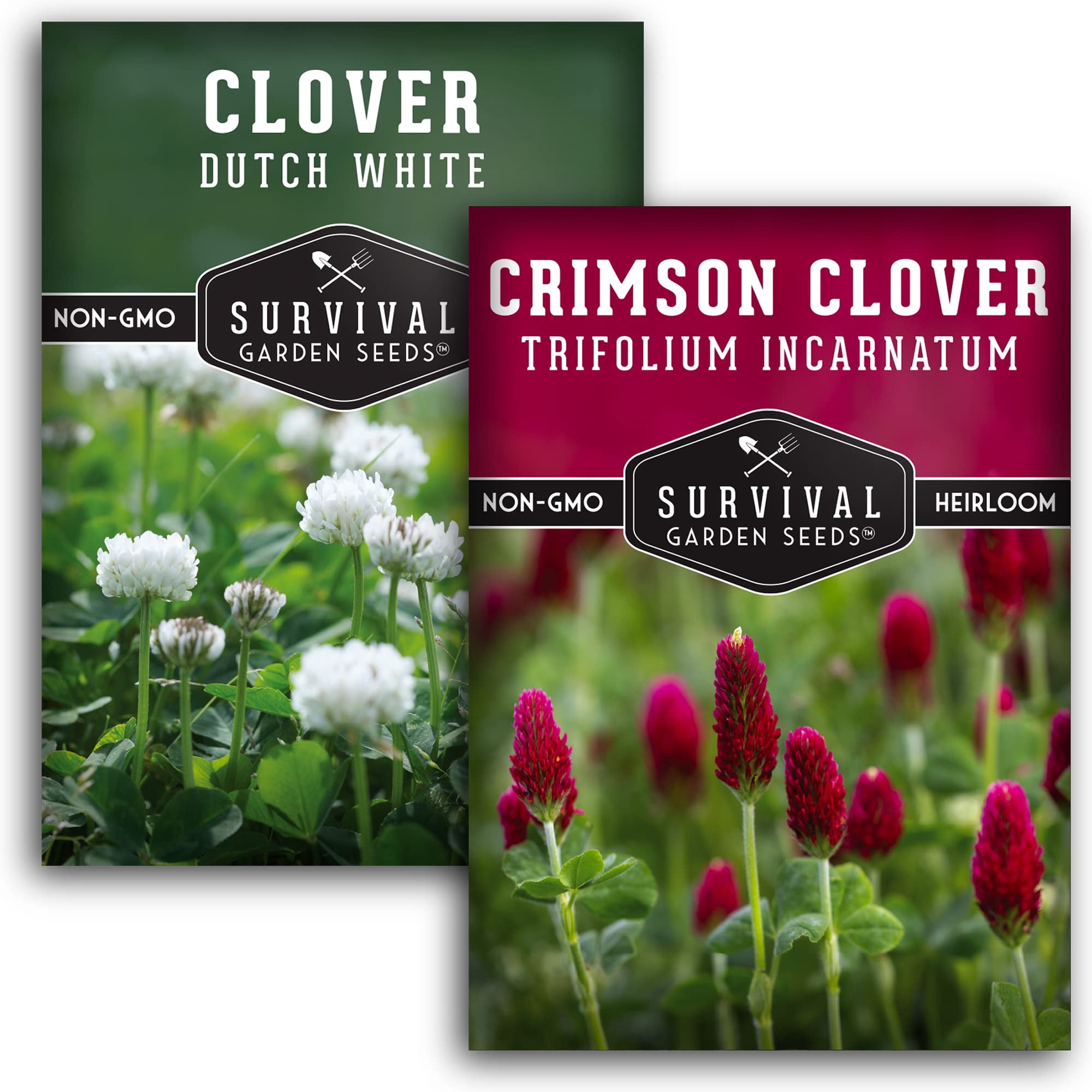 Clover Seed CollectionITSC for Planting - 2 Packets of Crimson & White ...