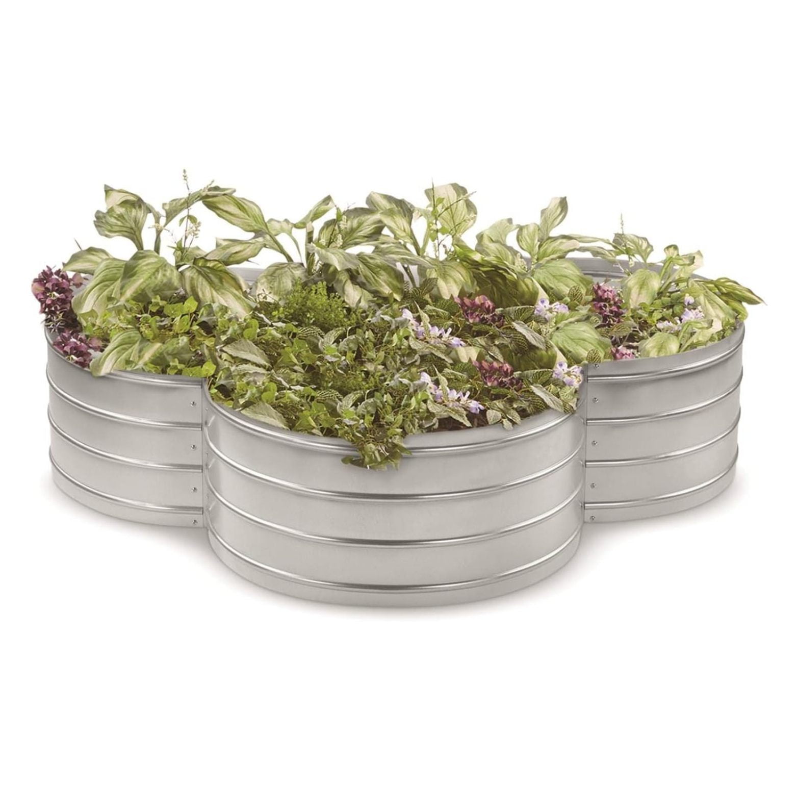 Clover-Shaped Galvanized Metal Steel Raised-Bed Garden Planter Box for ...