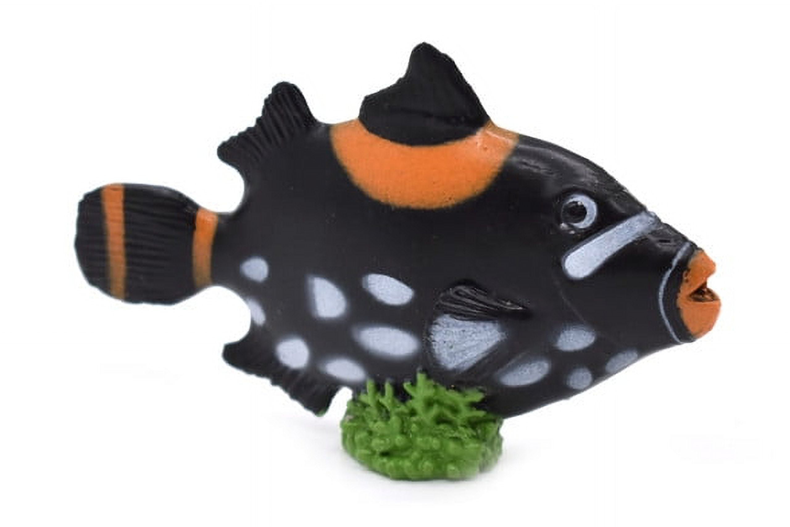 Clown Triggerfish, Tropical, Rubber Fish Design, Realistic Figure ...