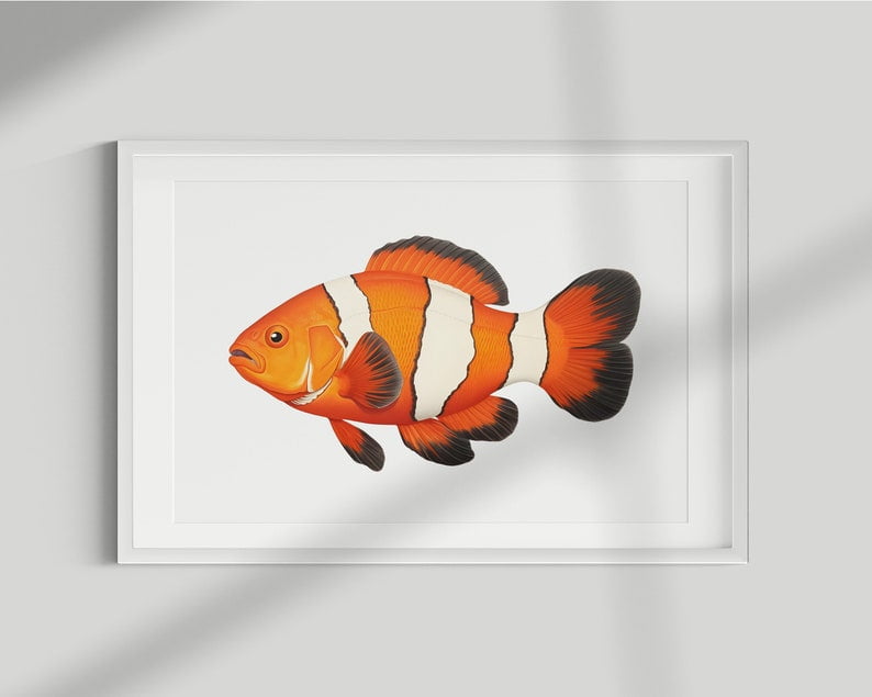 Clownfish Print, Fish Print, Clownfish, Wall Print, Fish Poster, Fish ...