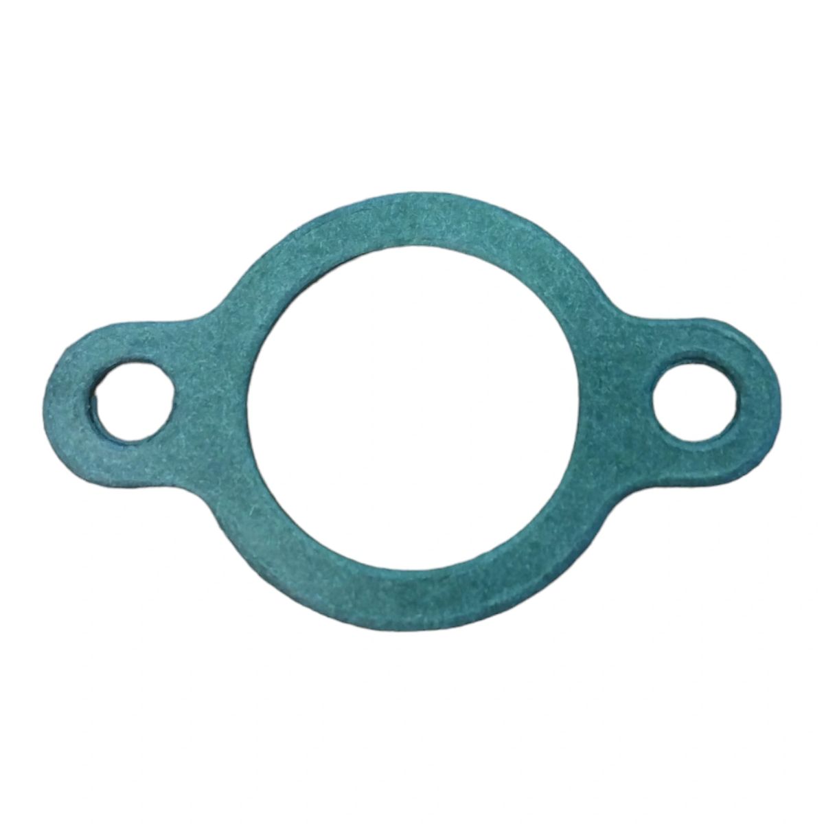 Club Car DS/Precedent FE290/FE350 Intake Gasket 1992 to Current ...