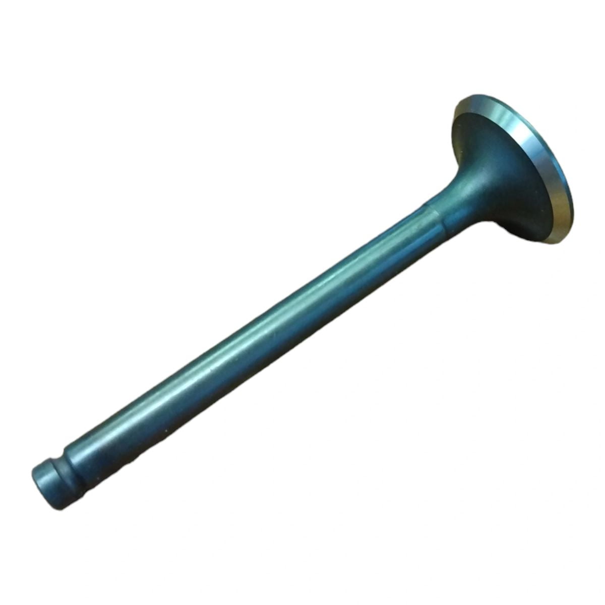 Club Car DS/ Precedent Golf Cart FE290 Exhaust Valve 1992 to Present ...
