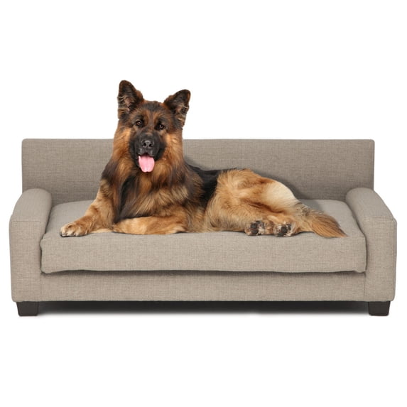 Club Nine Pets Metro Orthopedic Dog Bed, Medium, Oatmeal - Walmart.com