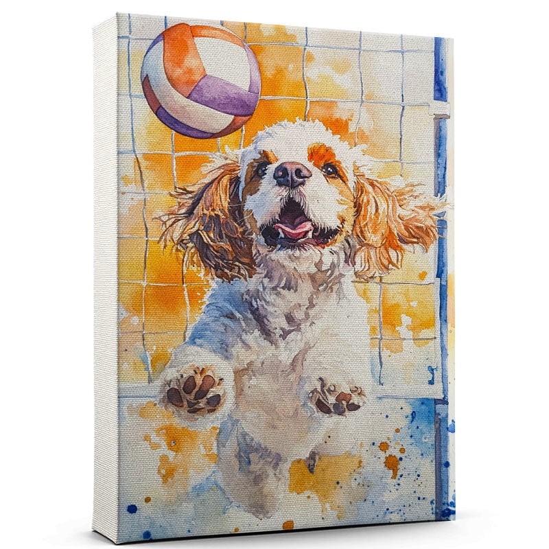 Clumber Spaniel Dog Playing Volleyball Wall Stretched Canvas Size 8x12 ...