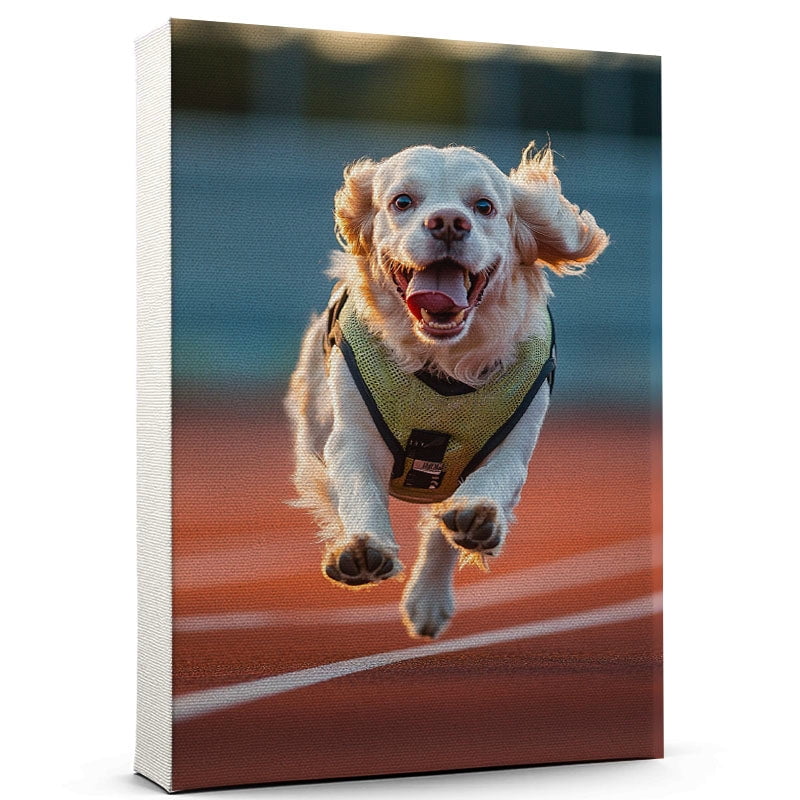 Clumber Spaniel Dog Stretched Canvas Size 8x12 Running Canvas – Funny ...