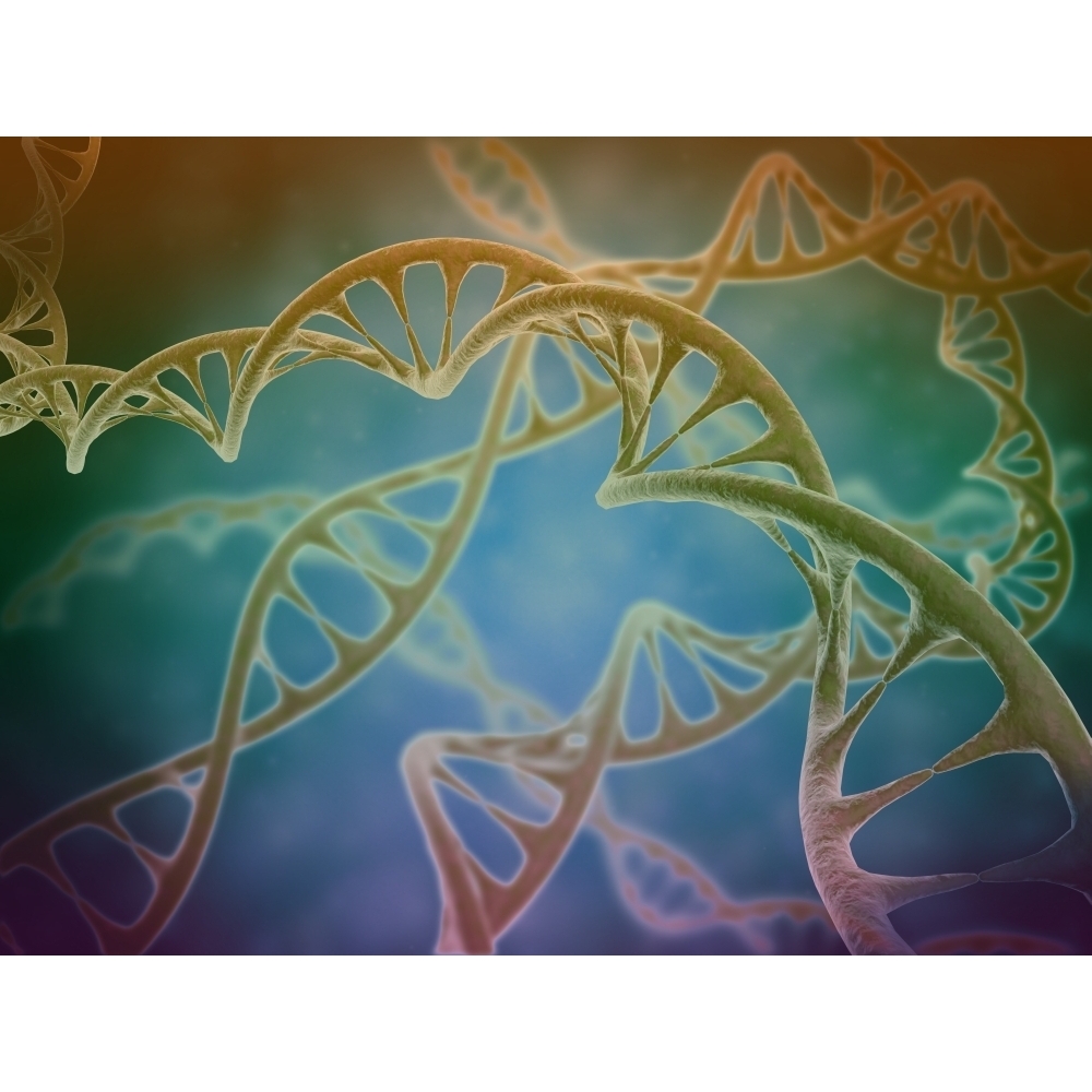 Cluster of DNA strands Poster Print - Walmart.com