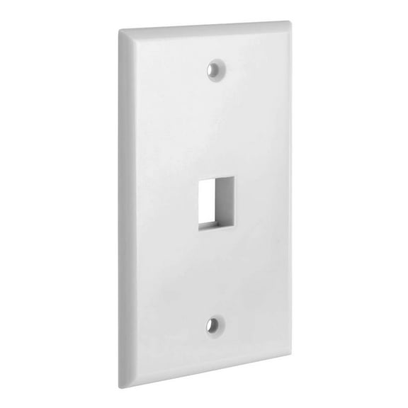 RiteAV HDMI 2 Speaker USBC Wall Plate with 15A Power Outlet [White ...