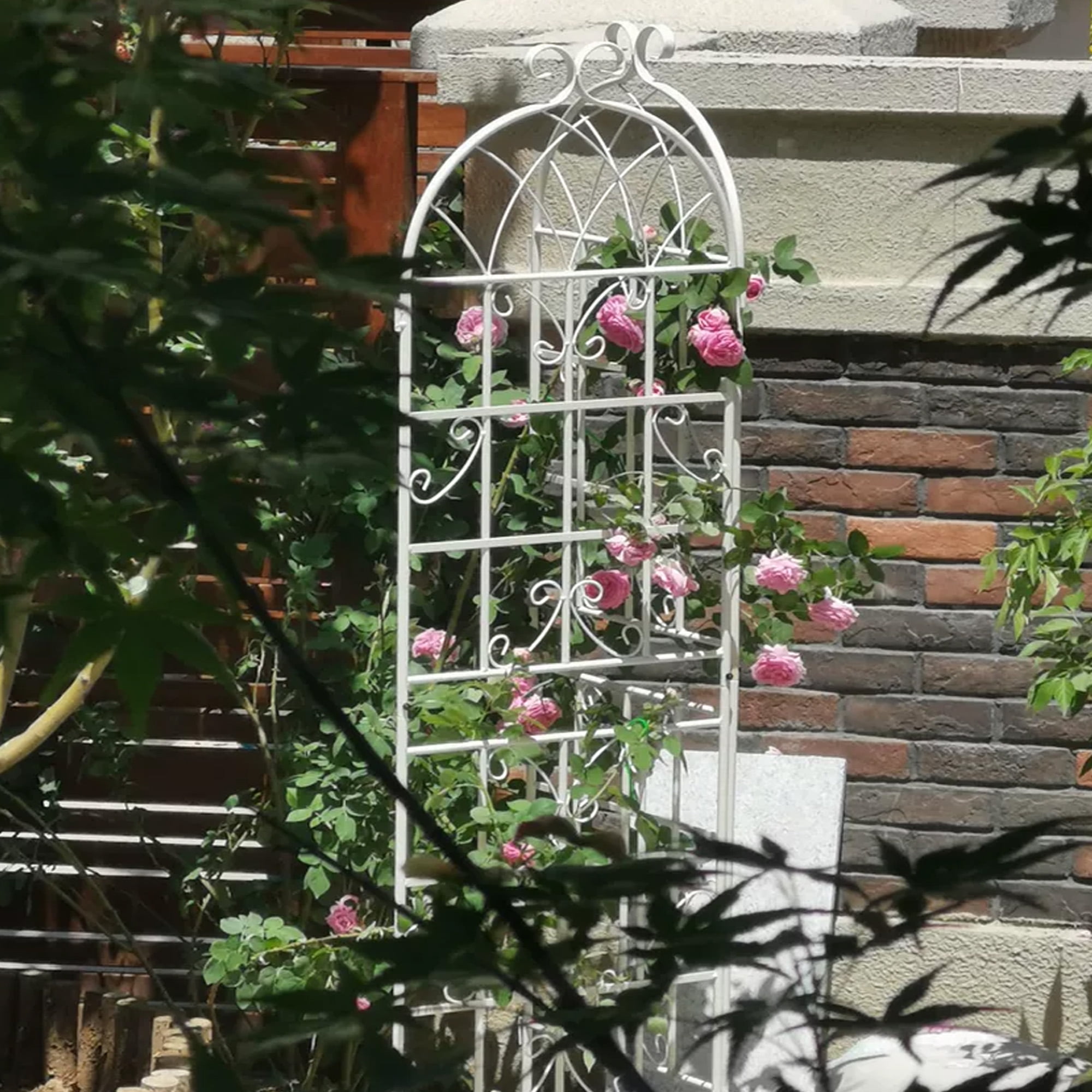 CoSoTower 4 Pack Metal Garden Trellis 71" X 19.7" Rustproof Trellis for ...