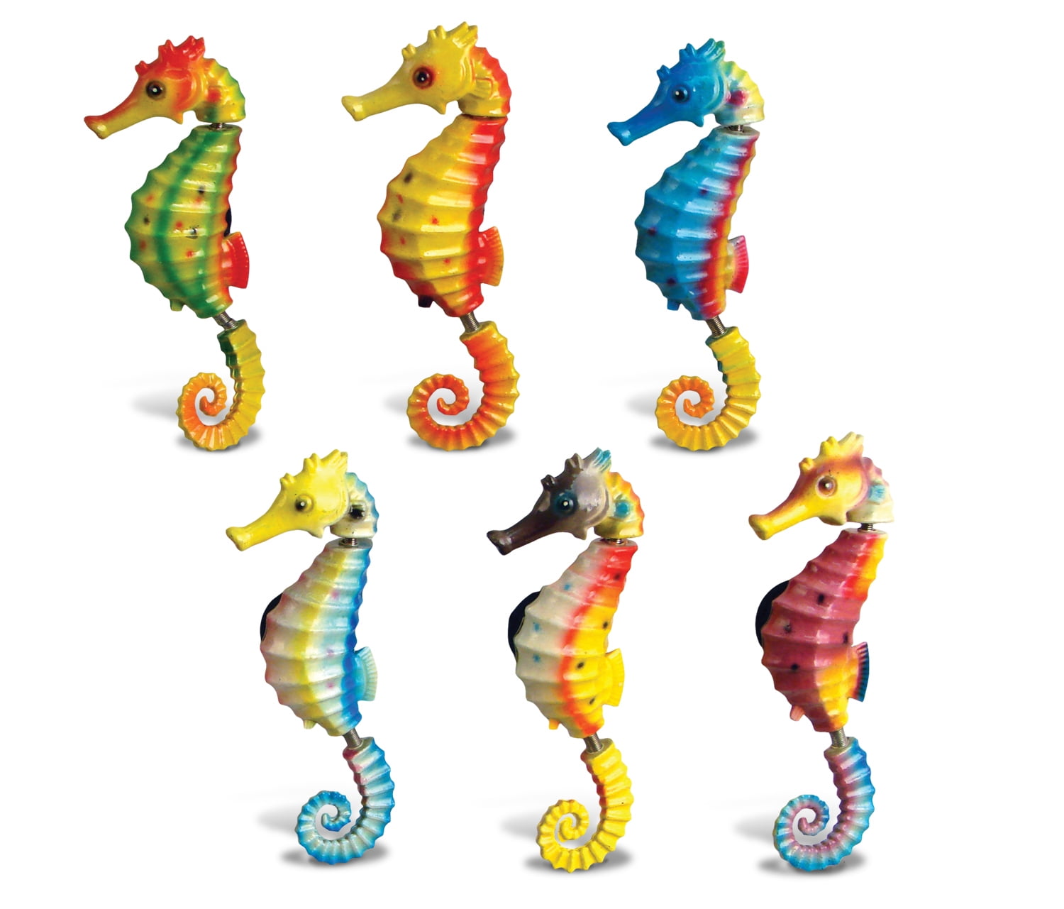 CoTa Global Seahorse Refrigerator Bobble Magnets Set of 6 - Assorted ...