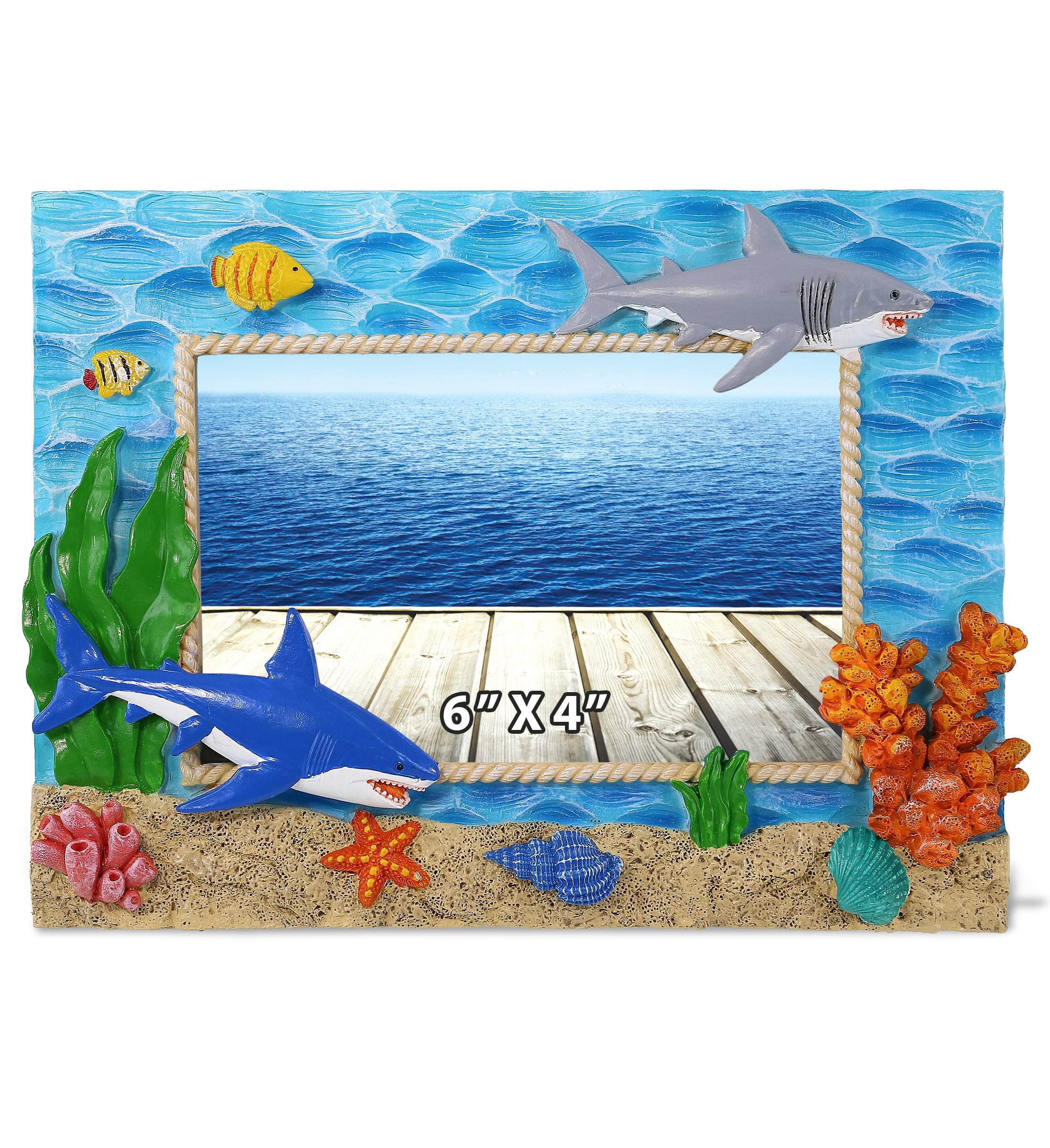 CoTa Global Shark 4x6 Nautical Frame - Colorful Nautical Shark Photo ...