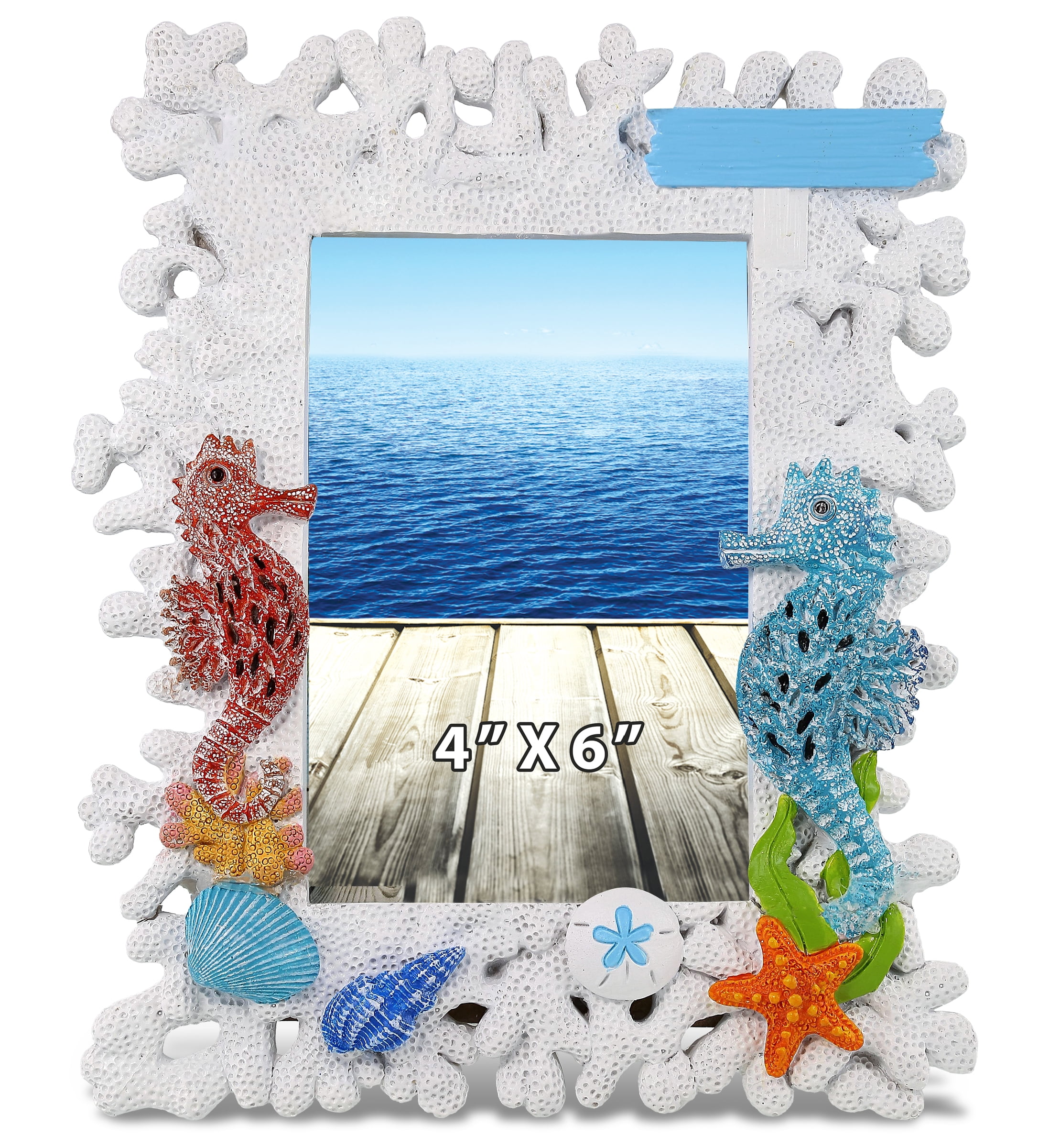 CoTa Global White Coral Seahorse 4x6 Nautical Frame - White Coral Photo ...