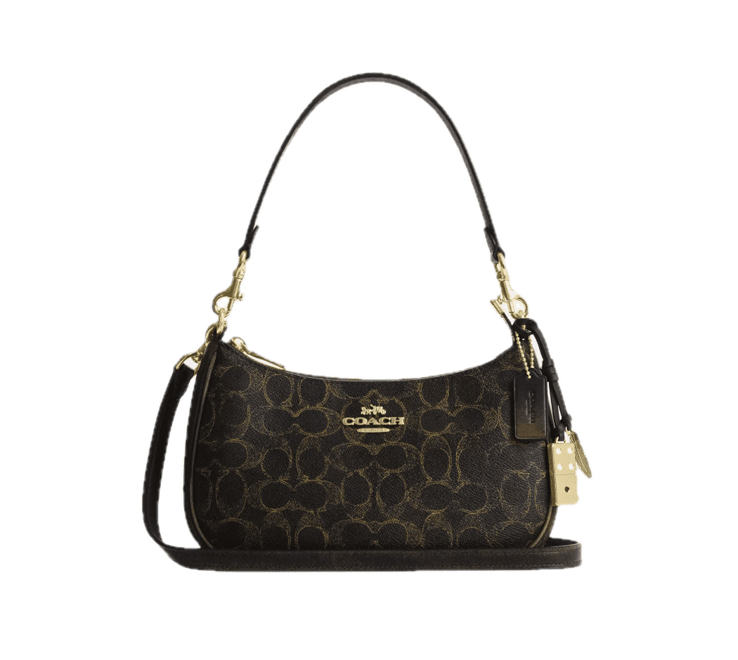 Coach Teri Shoulder Bag In Loved Signature Canvas With Charms - Walmart.com