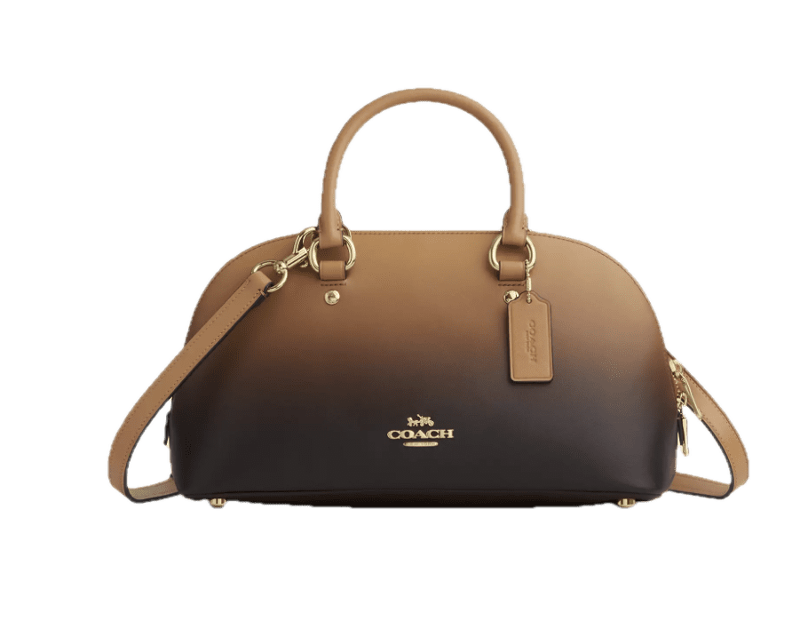 Coach Women's Lara Satchel Bag - Walmart.com