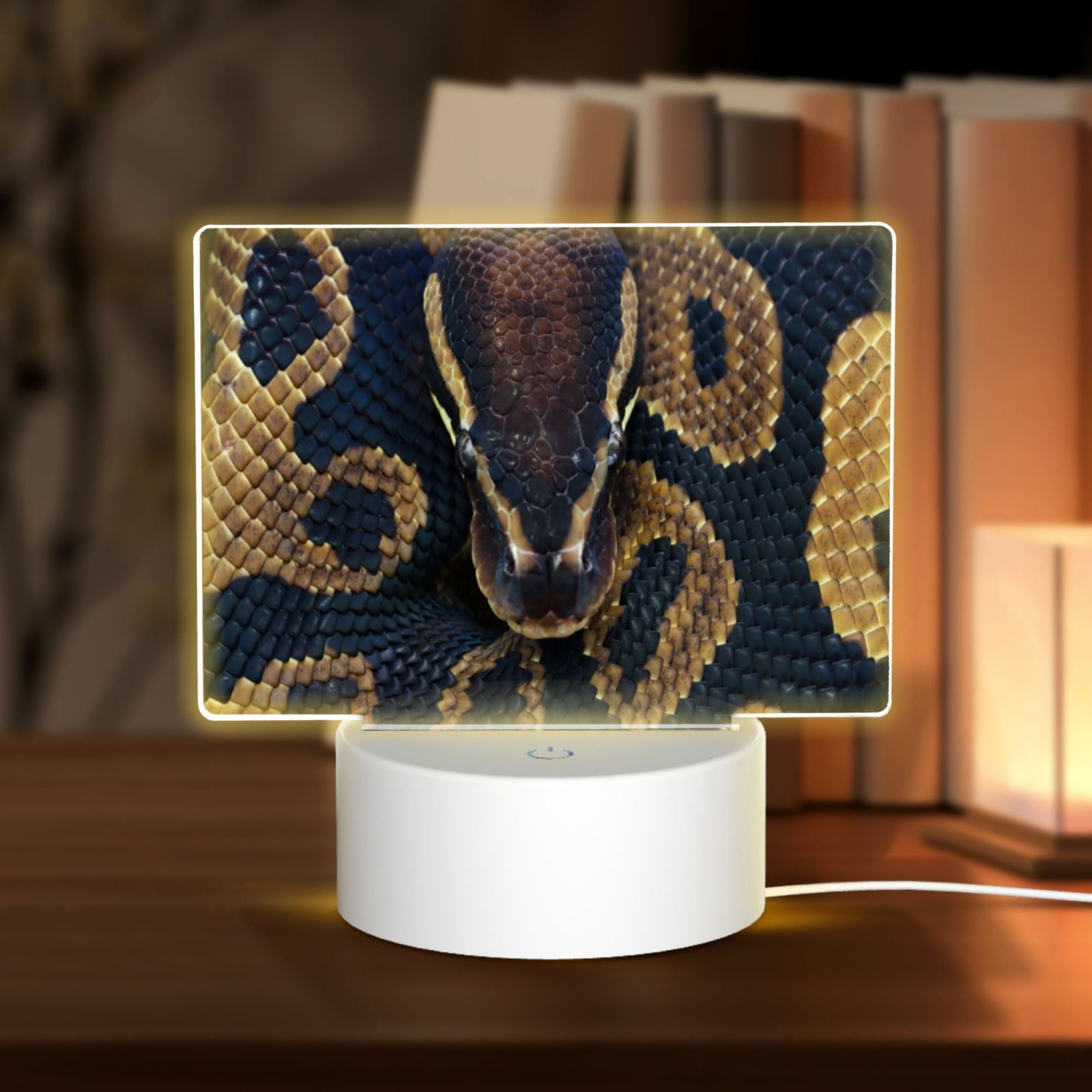 Coaee Ball Phyton Snake for Rectangular Acrylic LED Desk Lamp 3 Color ...