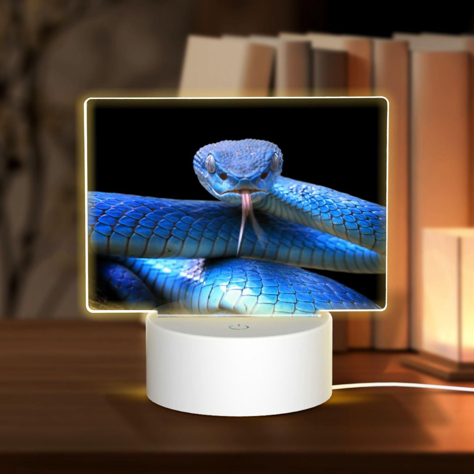 Coaee Blue Viper Snake for Rectangular Acrylic LED Desk Lamp 3 Color ...