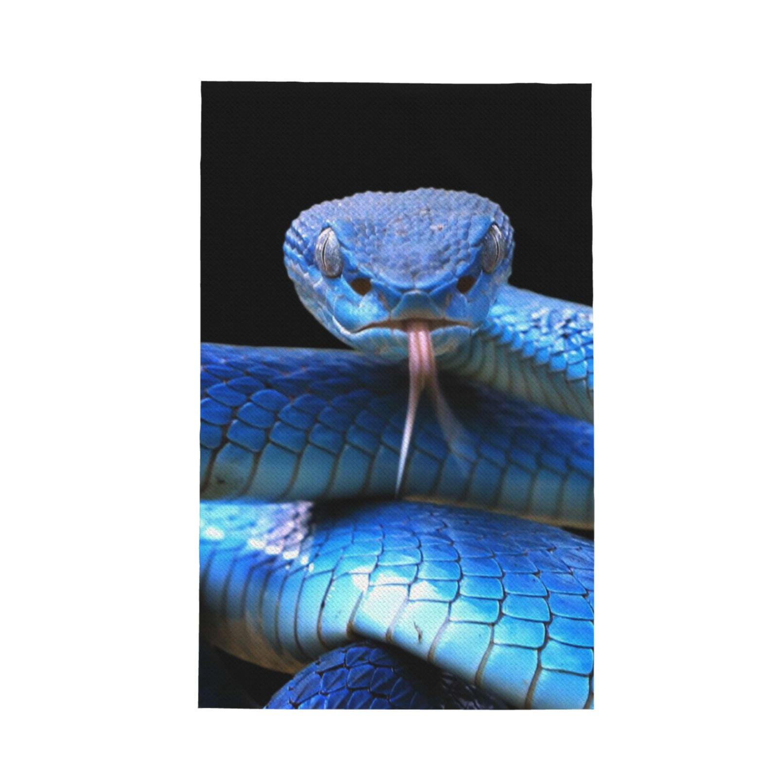 Coaee Blue Viper Snake for Waffle Towels Dish Towels for Kitchen ...