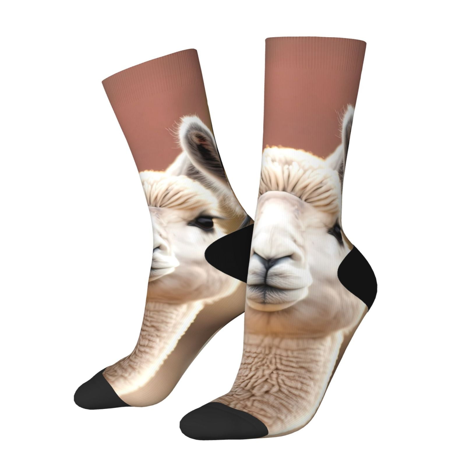 Coaee Cute Alpaca in Daze Socks, Stylish Sports Mid-Tube Socks ...