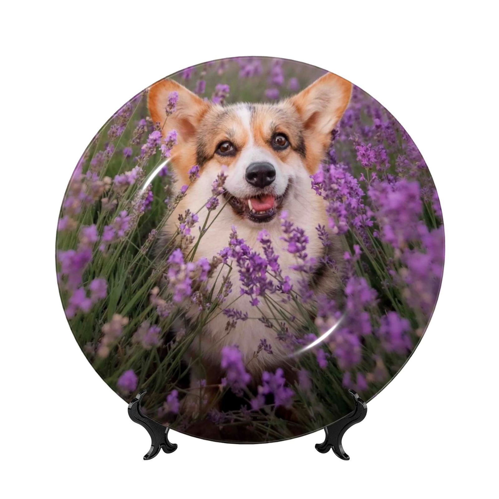 Coaee Dog in Lavender Flowers for Bone China Decorative Plate ...