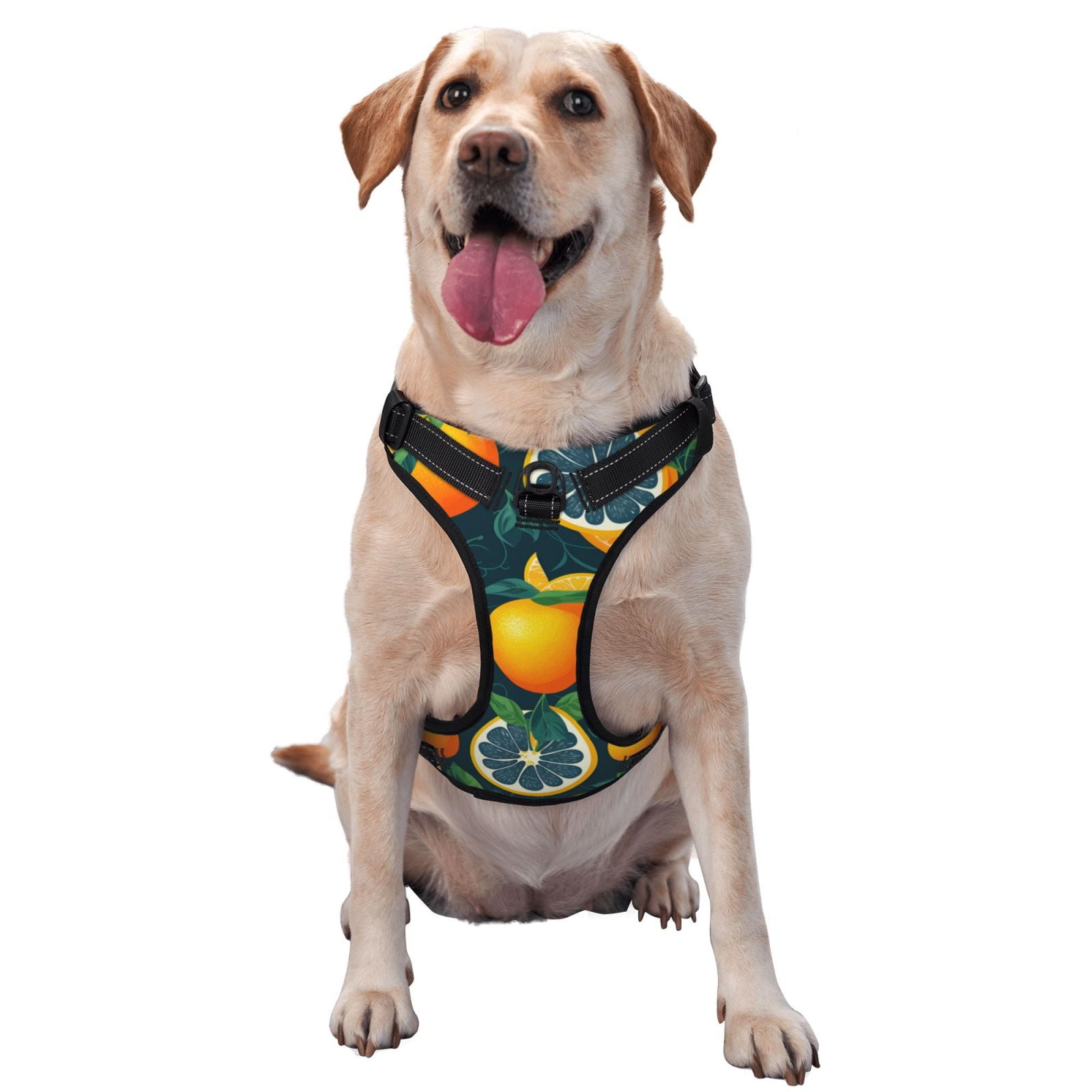 Coaee Fresh Orange Dog Harnesses Vest No-Pull with Traction Rope for ...