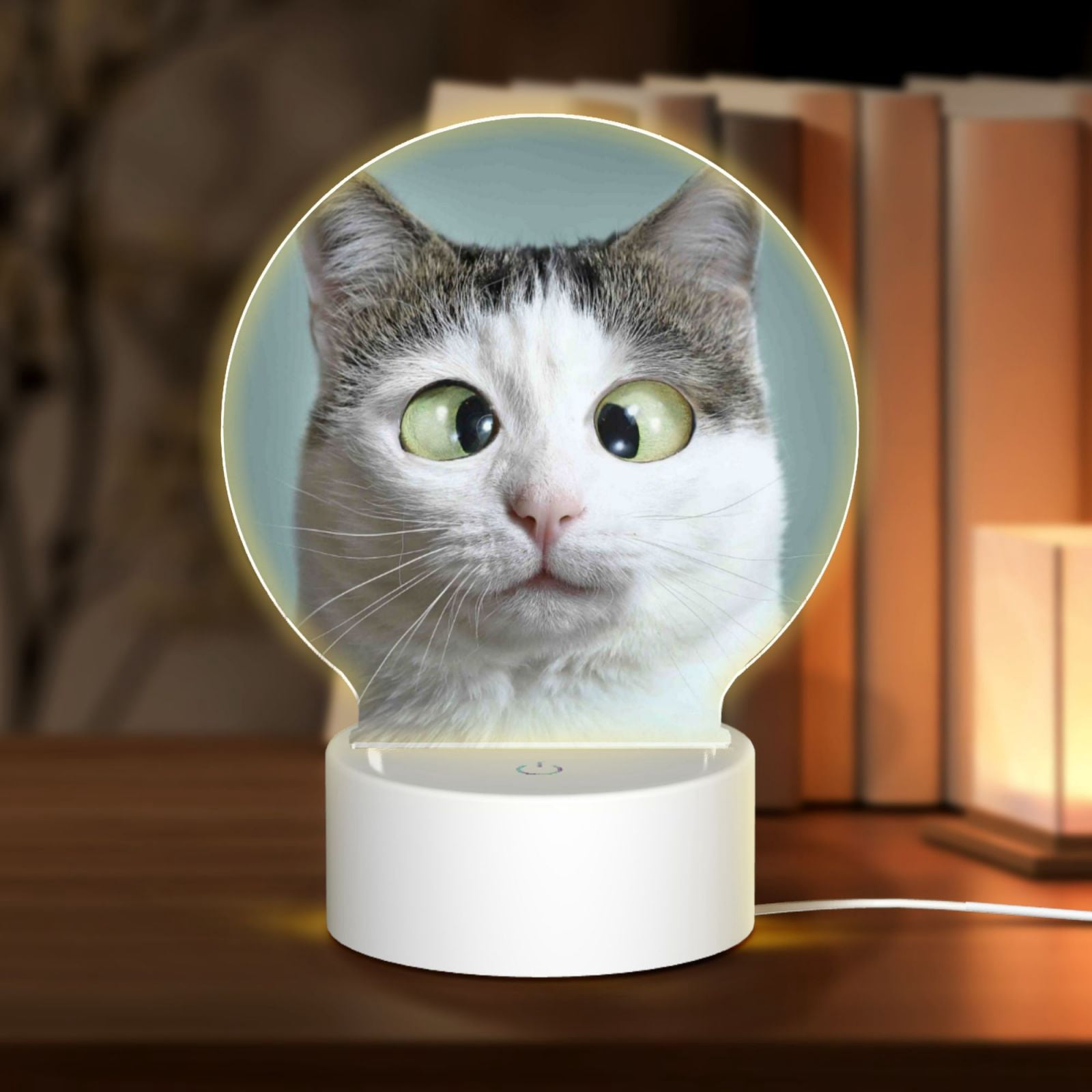 Coaee Funny Cat for Round Acrylic LED Desk Lamp 3 Color Change Decor ...