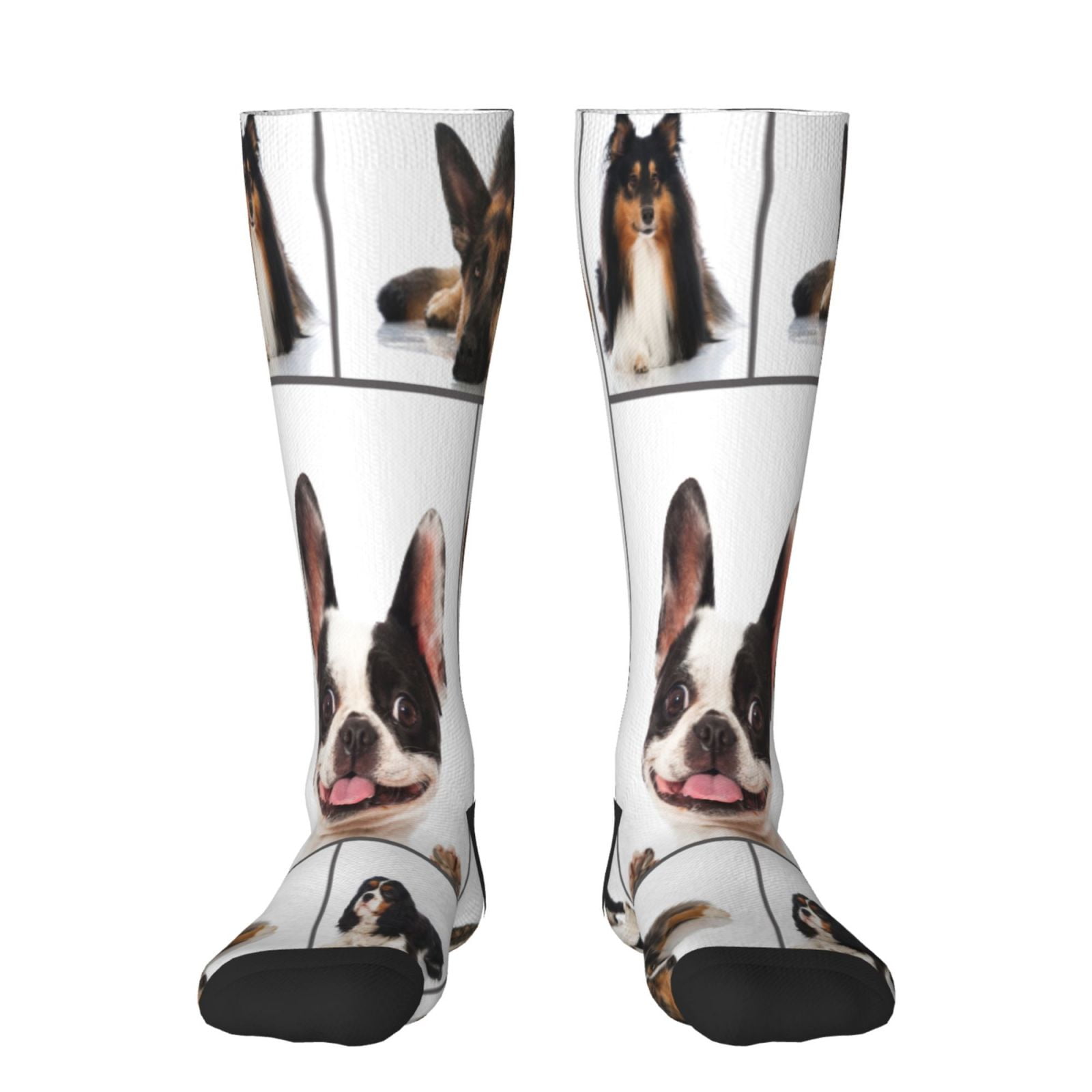Coaee Pedigree dogs collage Socks, Stylish Sports High Socks Breathable ...