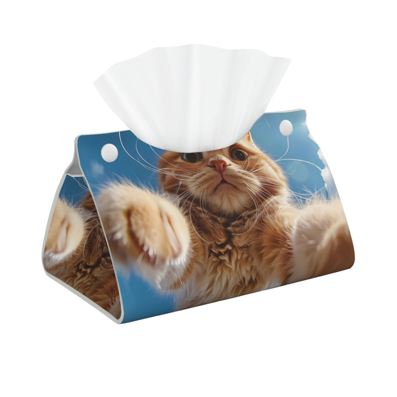 Coaee Playful Cat Fisheye View for Large Tissue Box Cover Rectangular ...