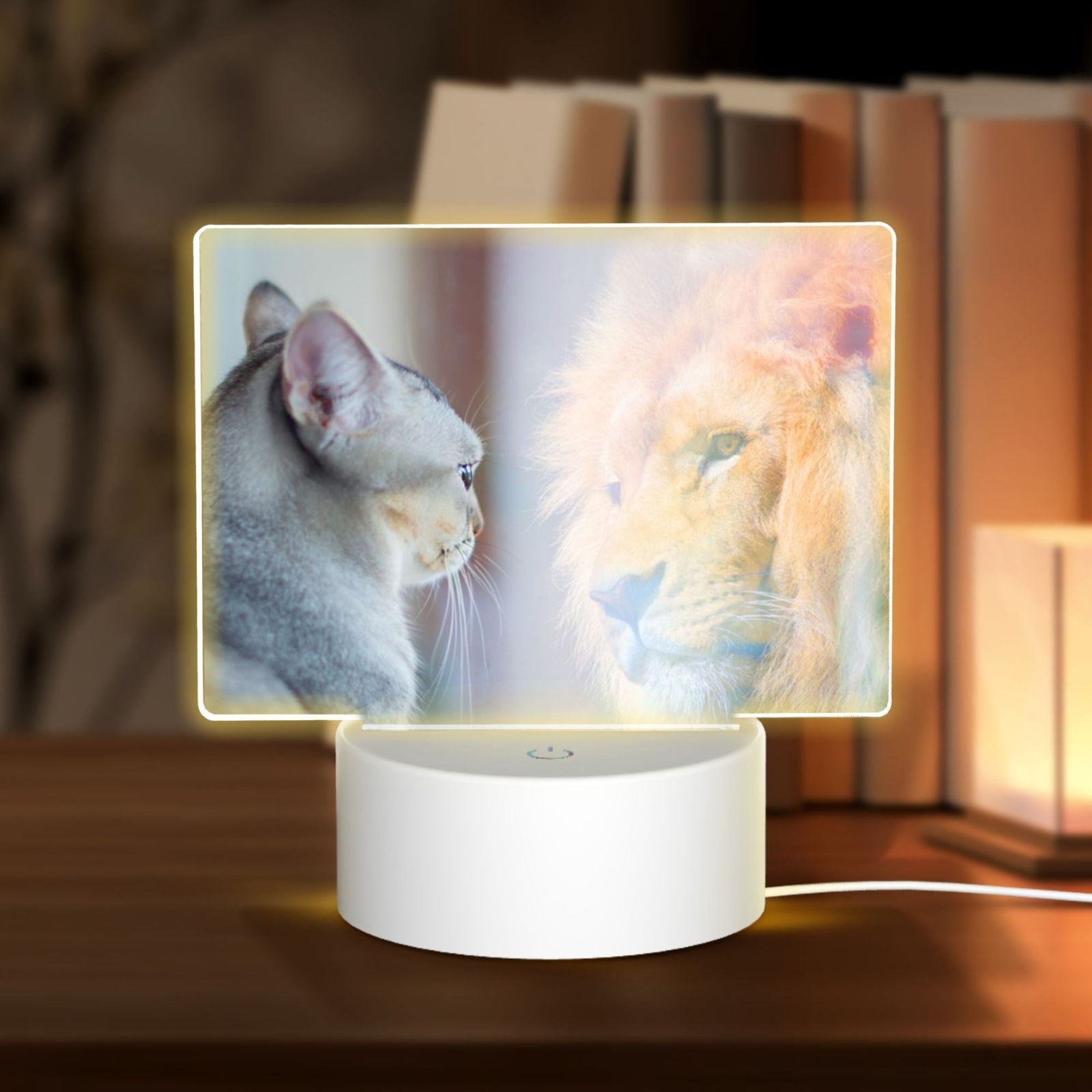 Coaee The Cat Looks in the Mirror for Rectangular Acrylic LED Desk Lamp ...