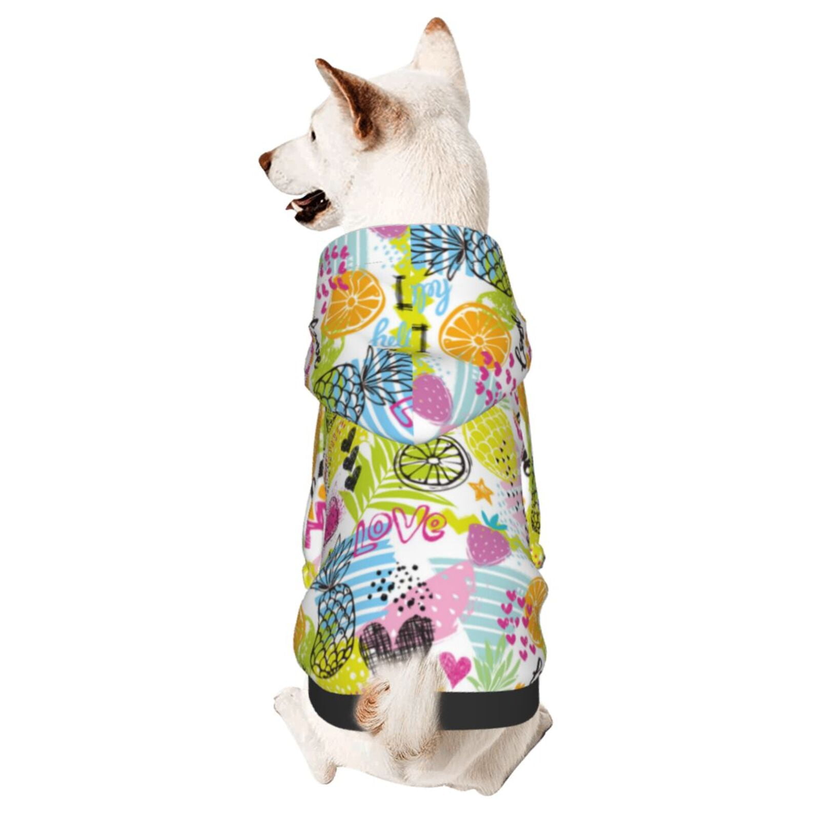 Coaee Tropical Pineapples for Winter Dog Hoodie Warm Small Dog ...