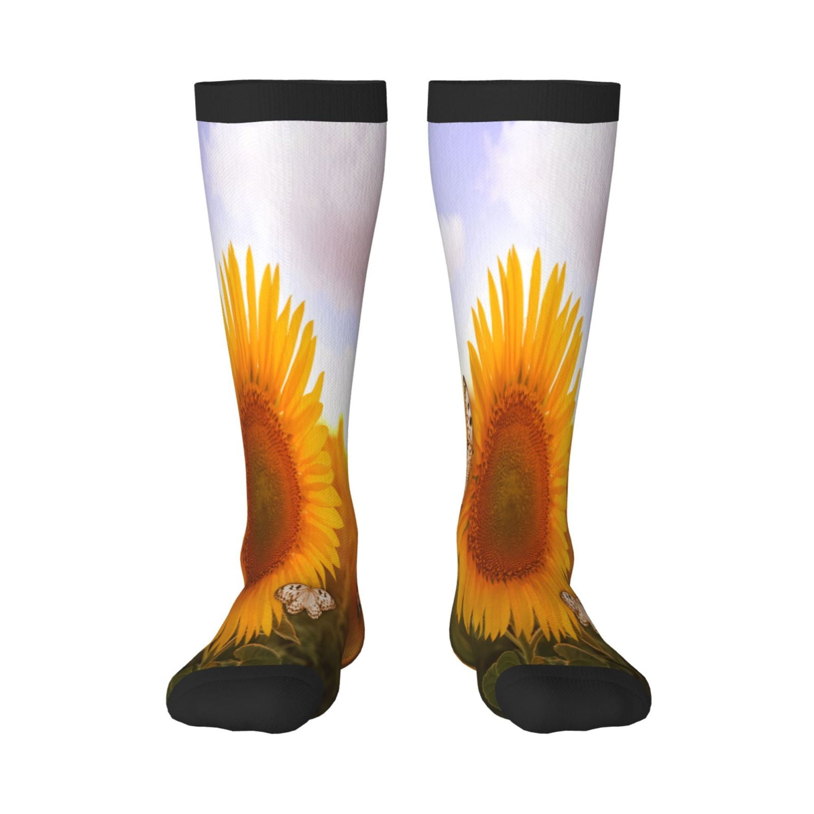 Coaee butterflies flying near sunflower in field Socks, Stylish Sports ...