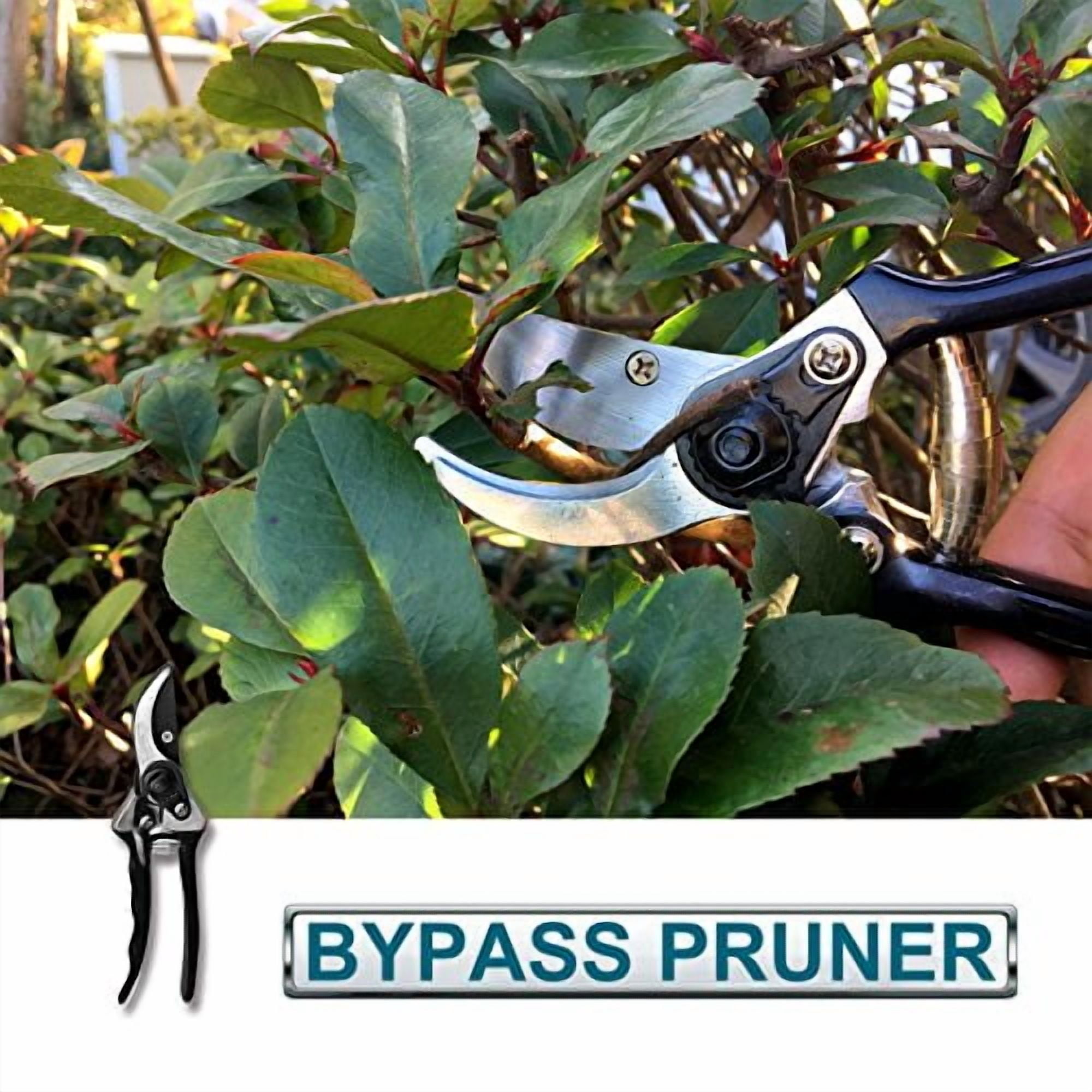 Coarbor 3 Piece Garden Tools Hedge Shear Trimmer Bypass Lopper Pruning ...