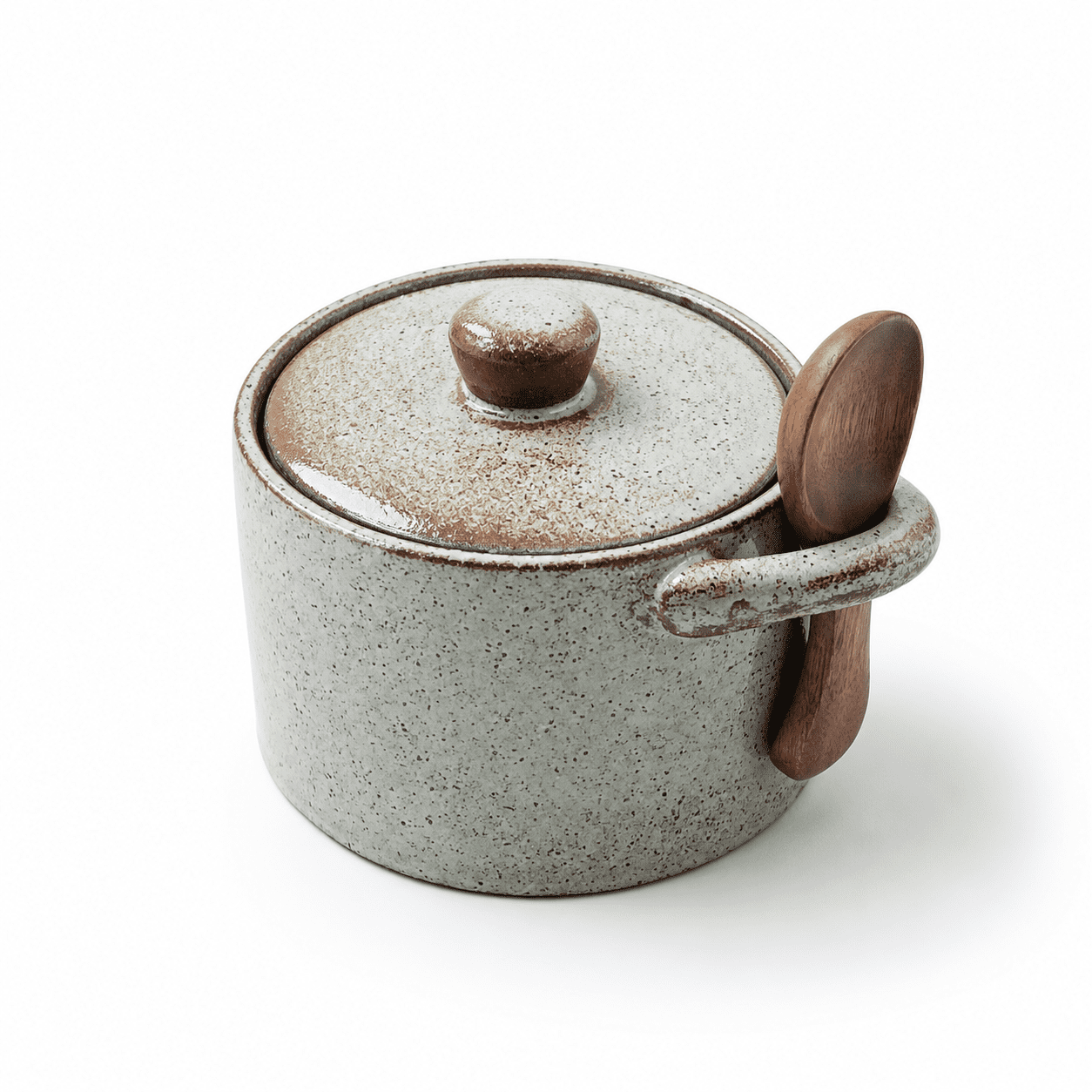 Coarse Pottery Color B Ceramic Salt Box with Lid and Spoon 12oz ...
