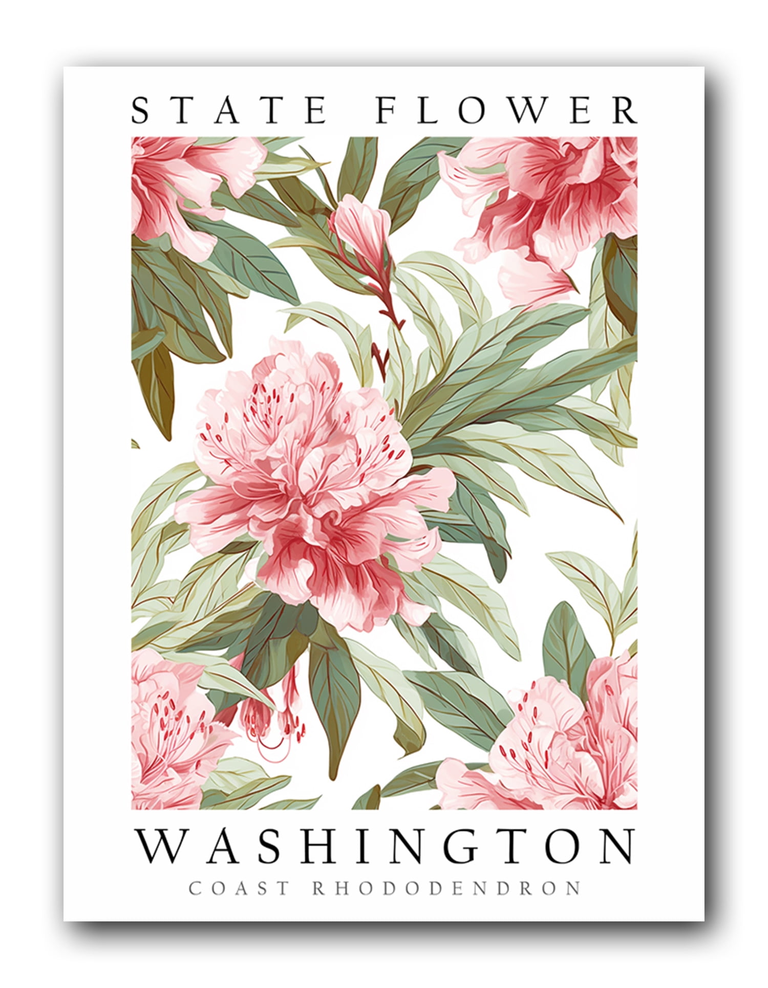 Coast Rhododendron, The State Flower of Washington, Poster Print, Wall ...