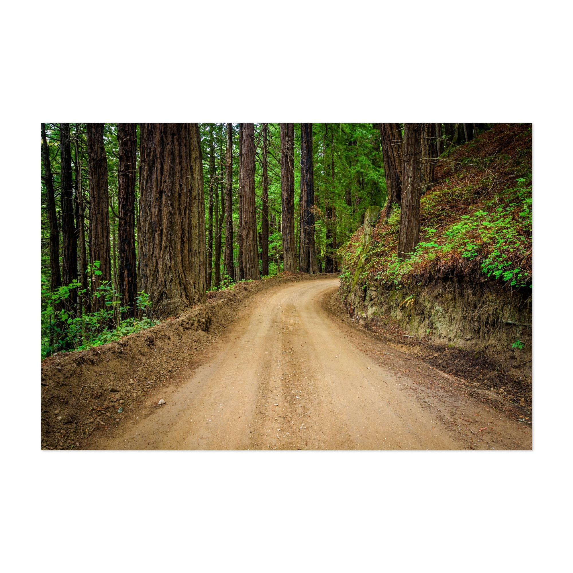 Coast Road, Big Sur - Big Sur California Photography Unframed Wall Art ...