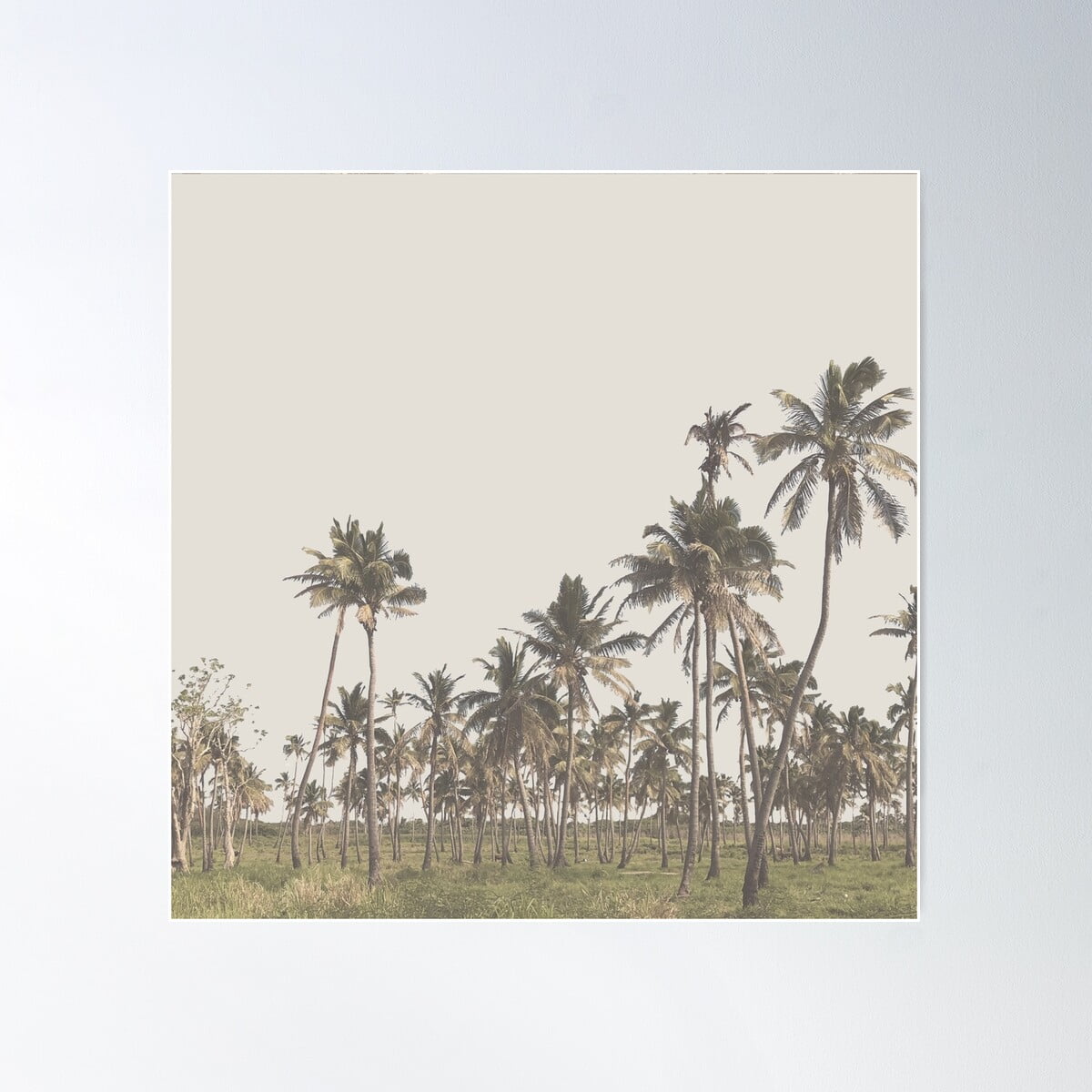 Coastal Abode Hazy Jungle Poster Wall Art, Modern Wall Decor For Living ...