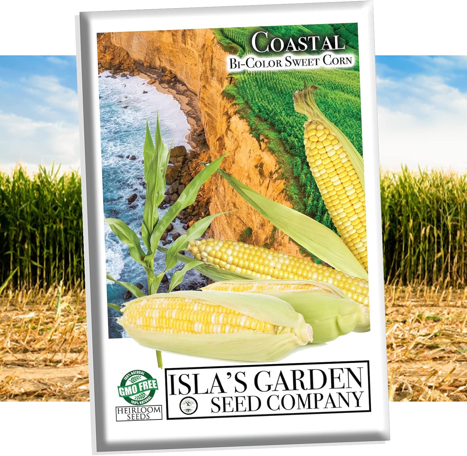 Coastal Bi-Color Sweet Corn Seeds for Planting, 50+ Seeds Per Packet ...