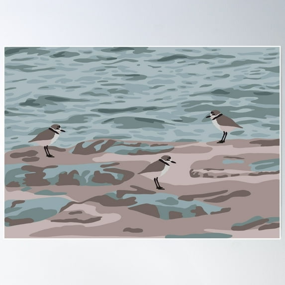 Coastal Birds Poster Wall Art, Modern Wall Decor For Living Room ...